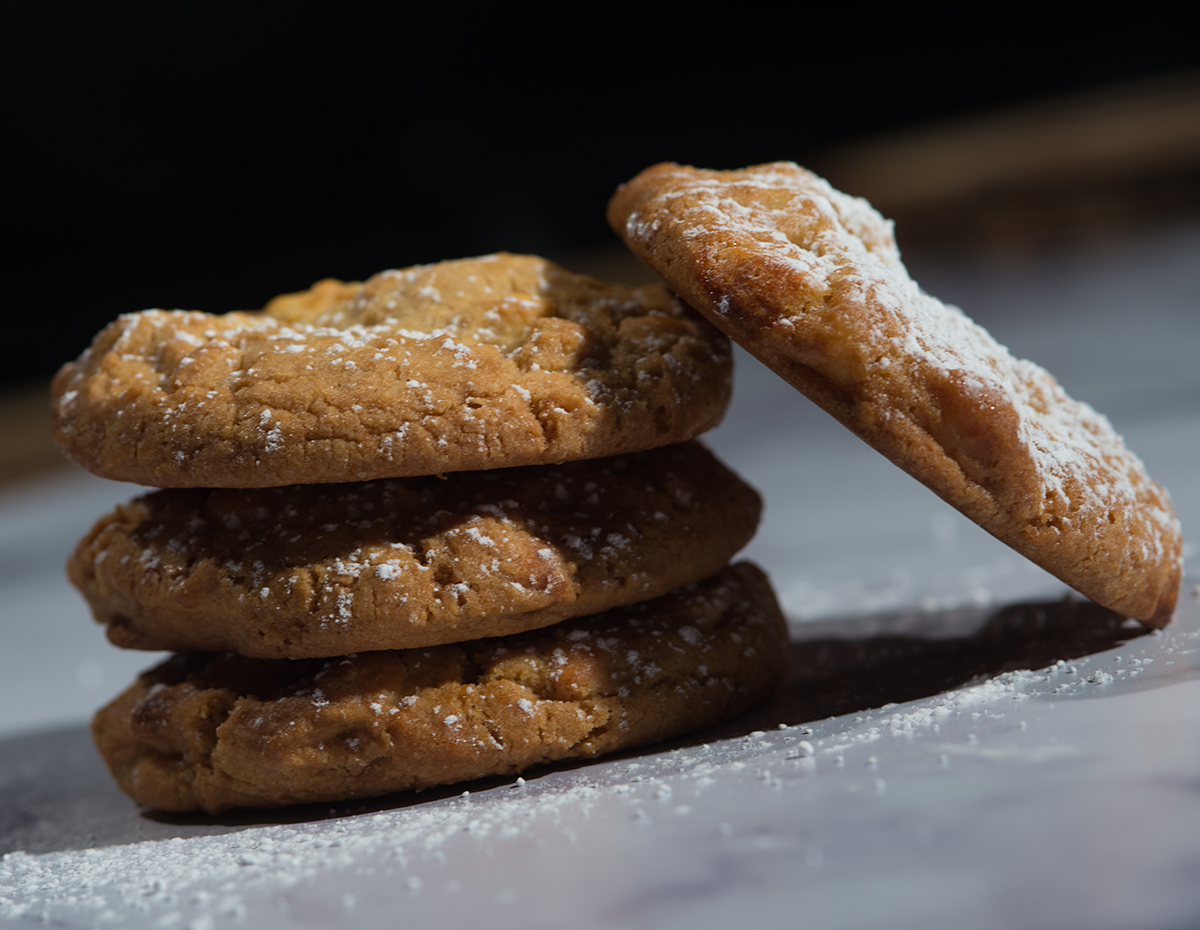 TWJ_Gallery_20 - The Woods